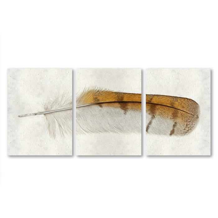 collection of black and white art photographs in triptych 3 panel ...