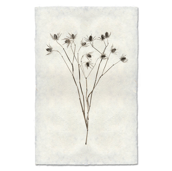 Handmade Paper - BARLOGA STUDIOS- fine photographs on intriguing papers