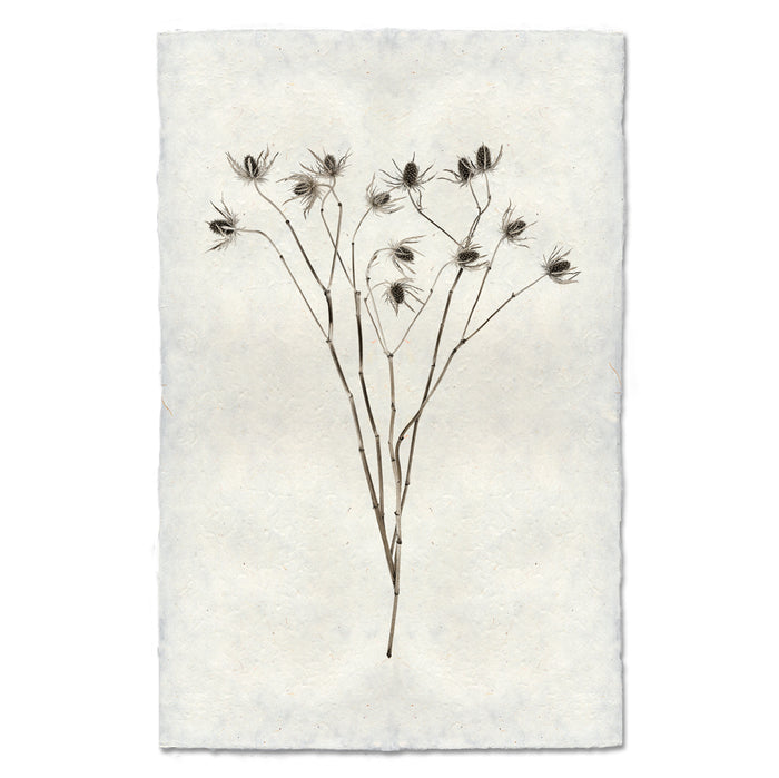 Handmade Paper - BARLOGA STUDIOS- fine photographs on intriguing papers