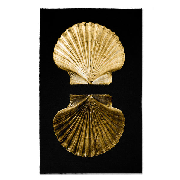 Double Shell - BARLOGA STUDIOS- fine photographs on intriguing papers