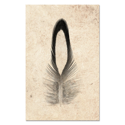 Kozo Feathers - BARLOGA STUDIOS- fine photographs on intriguing papers