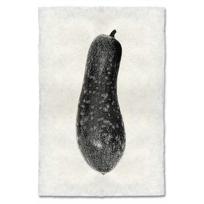 Vegetable Studies - BARLOGA STUDIOS- fine photographs on intriguing papers