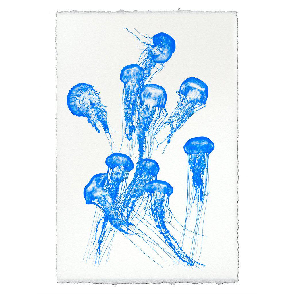 Ten Jellies - BARLOGA STUDIOS- fine photographs on intriguing papers